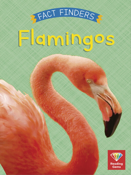 Libby - Flamingos